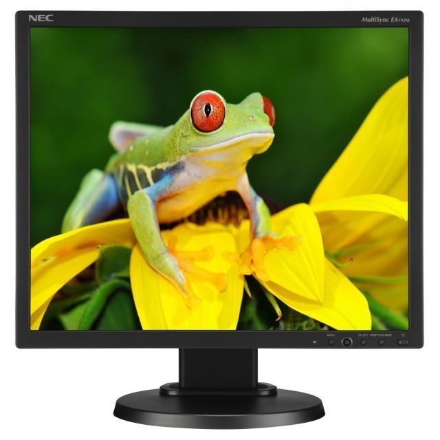 NEC EA192M-BK LCD Monitor for sale online | eBay