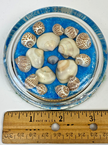Handmade Clear Glass Paperweight Sea Shells 3.5x0.75" Blue Round Art ...