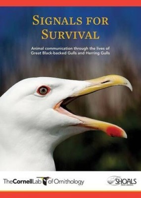 Signals for Survival: Animal Communication Through the Lives of Grea ...