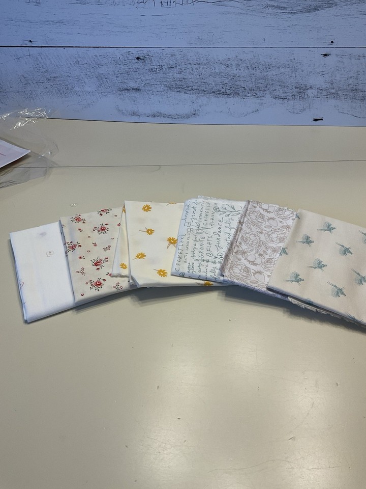 Limerick Quilt Kit 2 Color 66 X 80 Includes Pattern & All Fabrics For ...