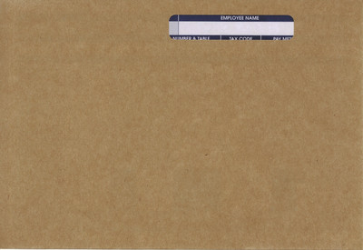 IRIS PAYSLIP WAGE ENVELOPES COMPATIBLE x 500 | eBay UK
