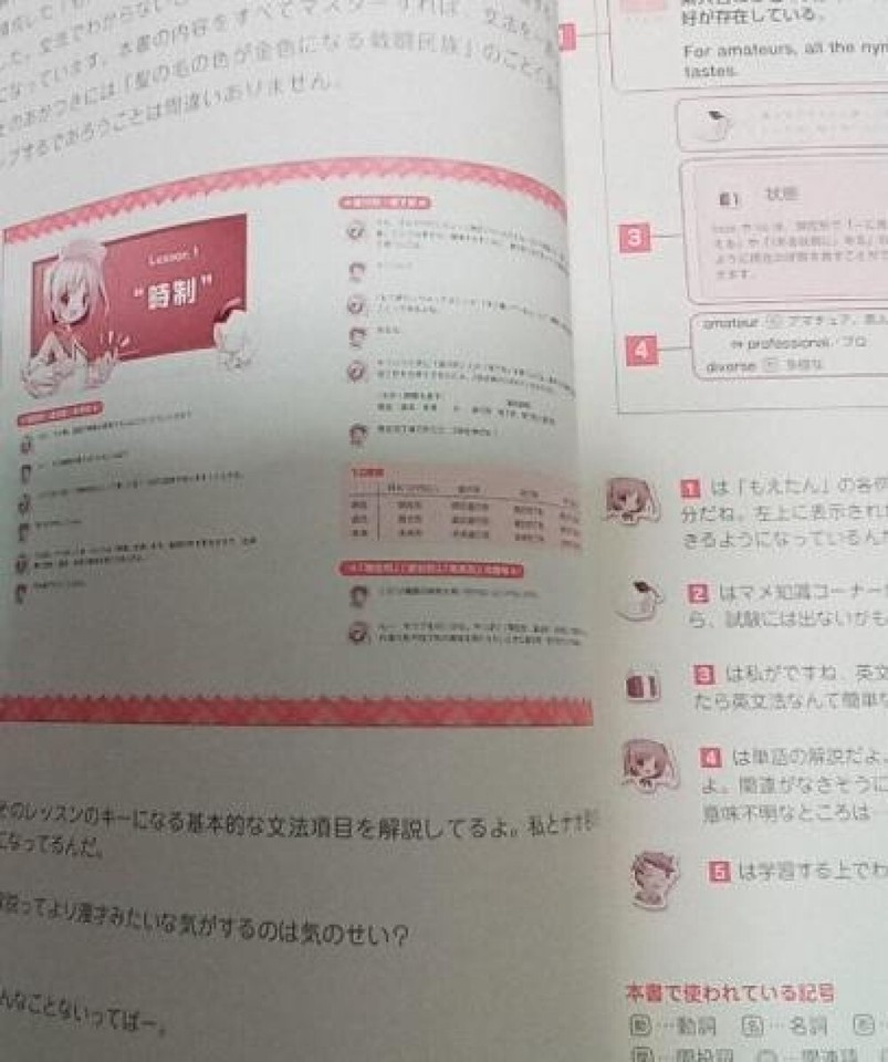 Moetan Sub-leader ~Grammar/Expression~ Moe English words Book | eBay