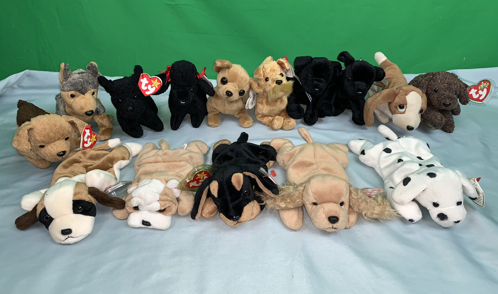 TY Beanie Babies Dog Plush Lot of 15 Assorted Dog Puppy With Tag ...