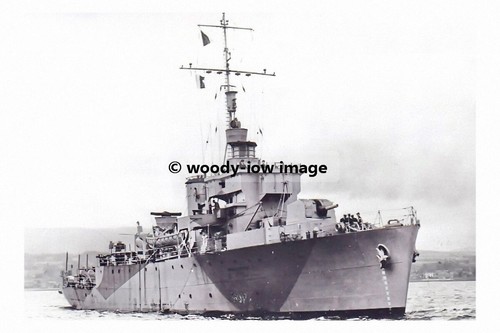 rp17267 - Royal Navy Warship - HMS Pelorus , built 1943 - print 6x4 | eBay