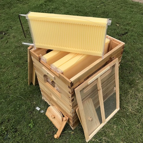 7 x Beekeeping Frames Bee Hive Frame for Auto Beehive House Honey Comb ...