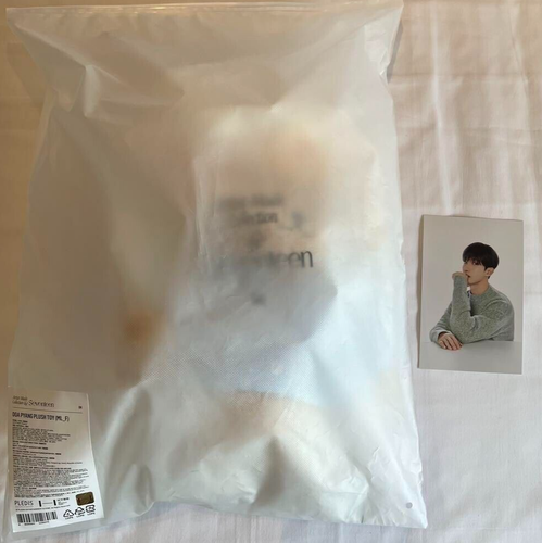 SEVENTEEN DK Artist Made Season 2. DOA Official Plush Toy W/ Photocard ...