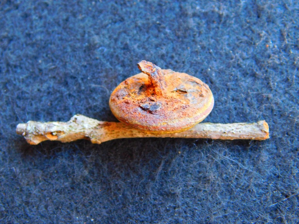Civil War Union Eagle Cape Pin - Dug in Shenandoah Valley | eBay