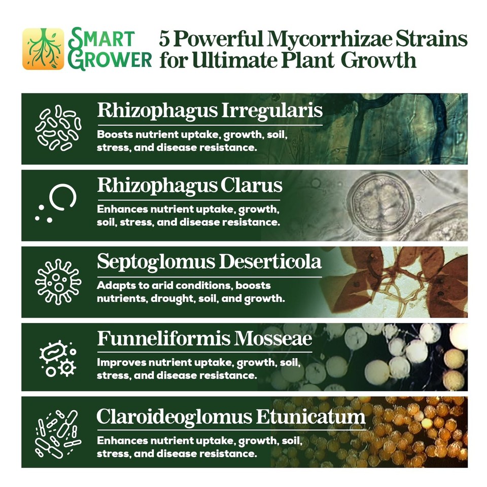 Mycorrhizal Fungi Organic Root Enhancer for Plants, Super Potent 100 ...