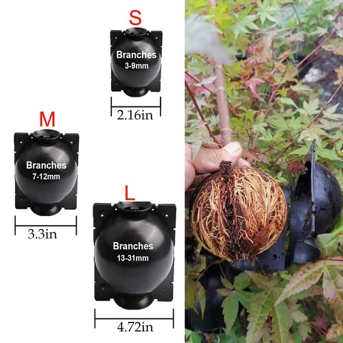 10 Pcs Reusable Plant Rooting Ball Device Grafting Rooting Growing Box ...