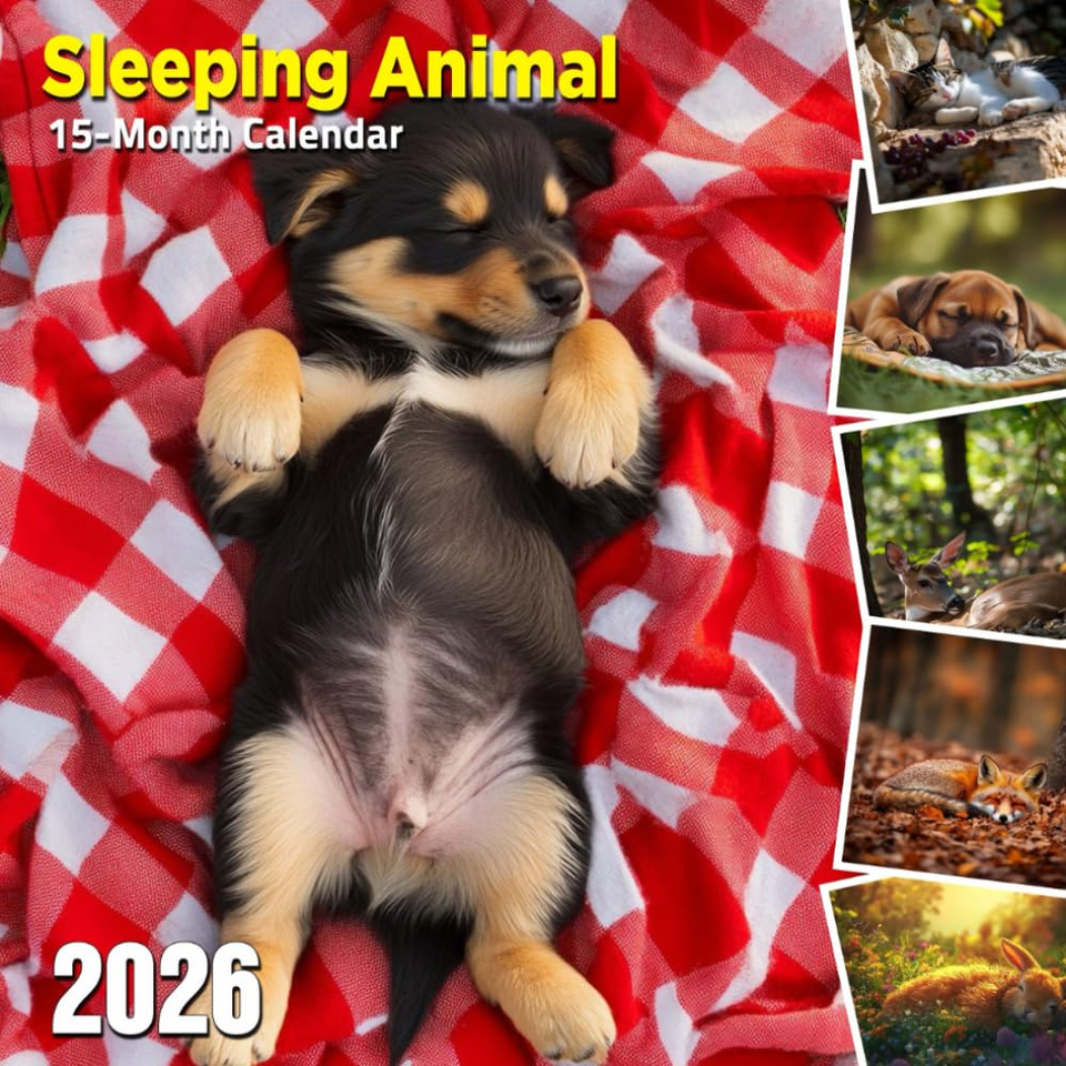 Sleeping Animal 2026 Calendar: Peaceful Moments of Animals Caught Mid ...