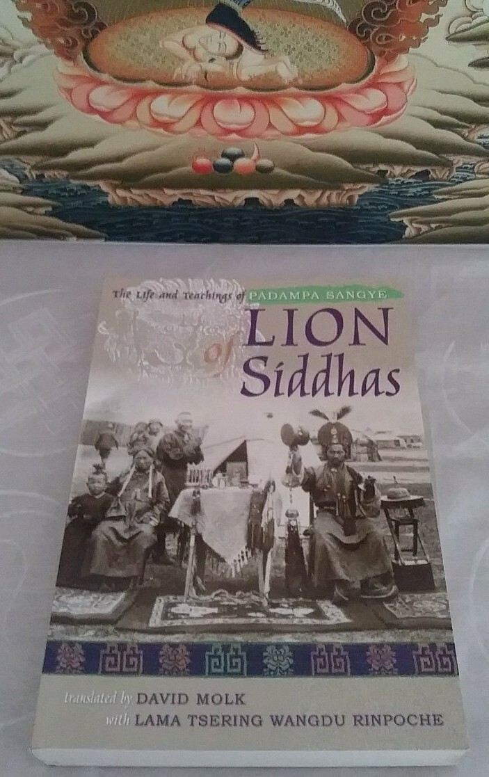 Lion of Siddhas Life Teachings Padampa Sangye David Molk Lama Tsering ...