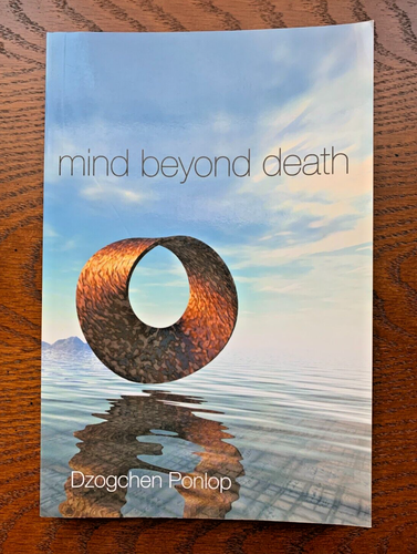 Mind Beyond Death by Dzogchen Ponlop (2008, Trade Paperback) | eBay