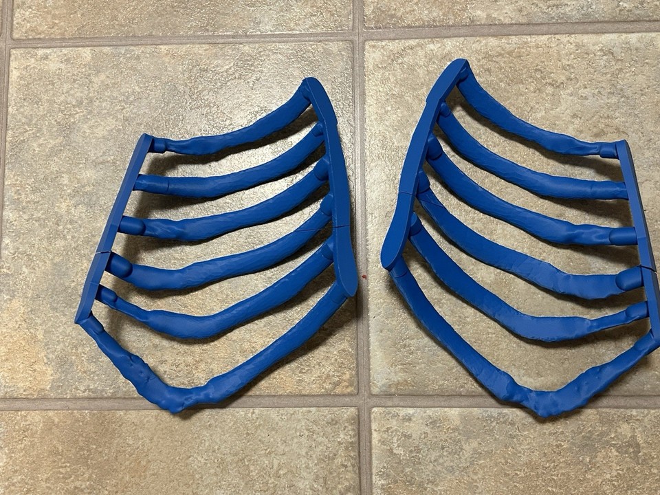 Full Size Training Human Ribs Rib Cage | eBay