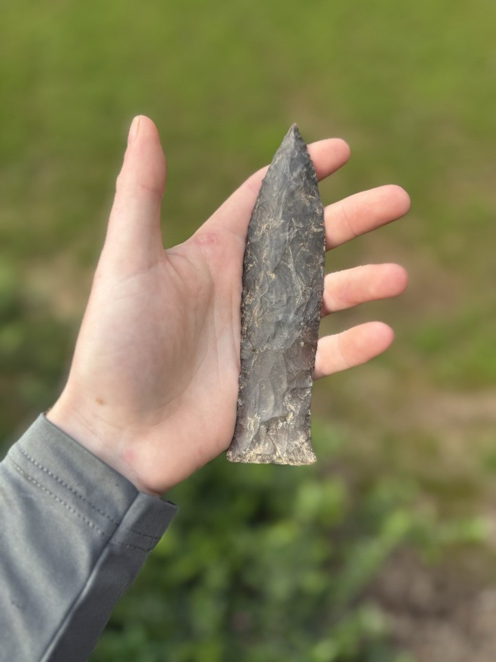 Native American Arrowhead copena point | eBay