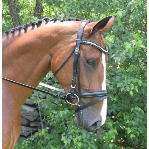 Black Oak by KL Select Magnolia Dressage Bridle | eBay