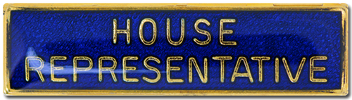 House Representative Pin Badge in Blue Enamel With Squarded Edge | eBay