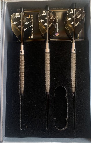 Cuesoul Frosted 20G with (Steel Tip Conversion Points) Tungsten Darts | eBay UK