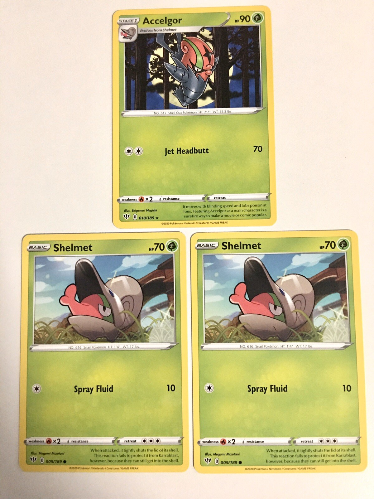 Accelgor Evolution Chart