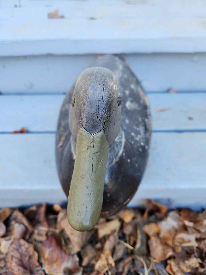 Vintage CHARLES BIRCH Blackduck DECOY Willis Wharf VIRGINIA ESVA OP ...