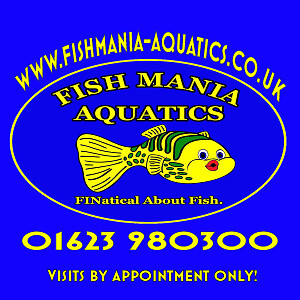 Fish Mania Aquatics Ltd | eBay Shops