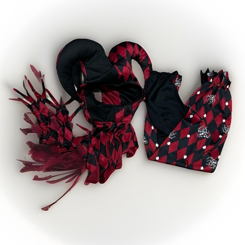 Evil Court Jester Costume Youth Size Small Red Black Hat Pants Gloves ...