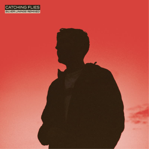 Catching Flies Silver Livings Remixed (Vinyl) 12" Album | eBay