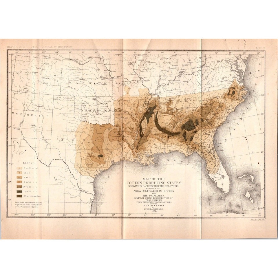 Map Of The Cotton Producing States The Total Area 1885 Fold Out Map ...