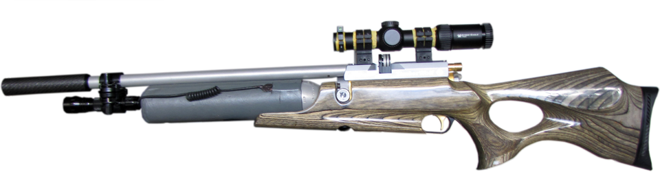 Daystate Limited Edition Air Rifle, The Timberwolf, Gold Accented ...