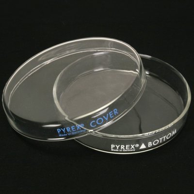 Lab Glassware - Pyrex Petri Dishes