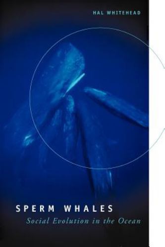 Sperm Whales : Social Evolution in the Ocean, Paperback by Whitehead ...