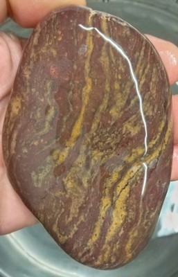 13.33 oz. Colorado River DINOSAUR COPROLITE Arizona Fossil Fossils ...