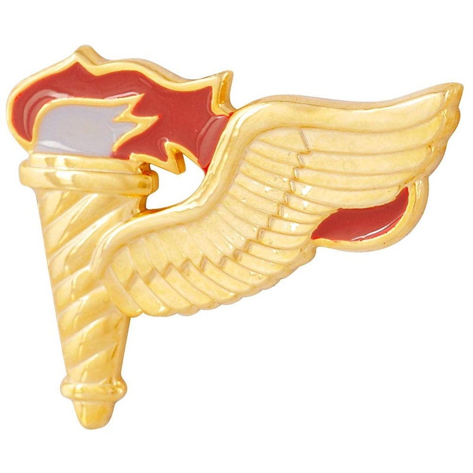 Army Pathfinder Badge Full Size | eBay