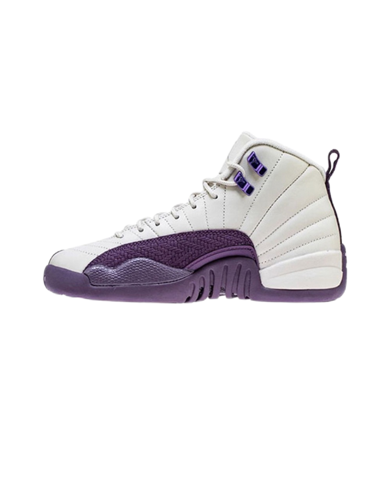 Nike Air Jordan 12 Retro Mid Pro Purple Jordan 12 AJ12 510815-001 | eBay