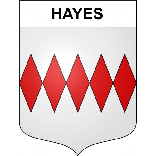 Hayes 57 ville sticker blason écusson autocollant adhésif | eBay