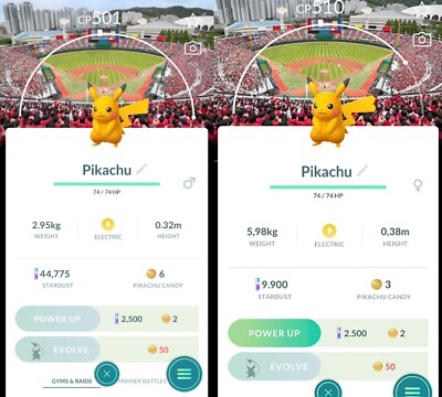 Shiny Pikachu Sajik Baseball Stadium Busan Background P T C Read ...