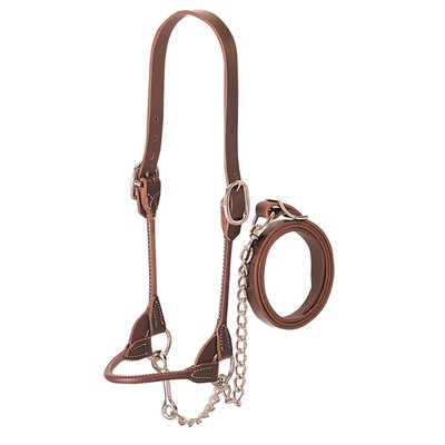 Small Brown Calf Leather Show Halter | eBay Australia