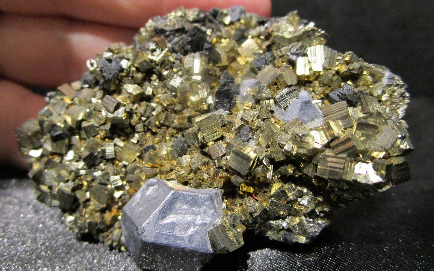 Pyrite and Galena, Flashy Golden Crystals , Bold Striations vs. Dull ...