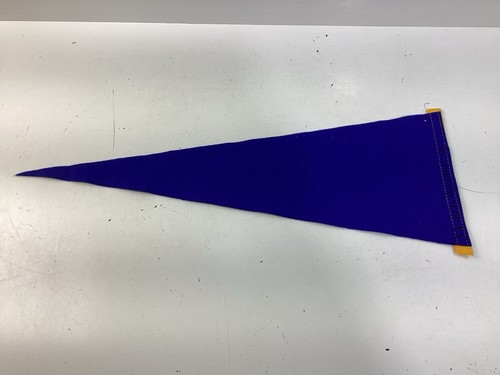 Vintage Western New England College Felt Pennant | eBay