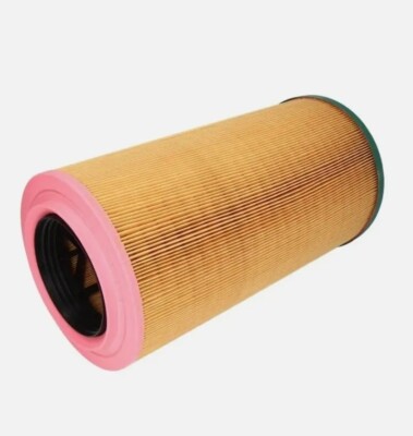 Mann Air Filter - C19450 - AL204809 | eBay Australia