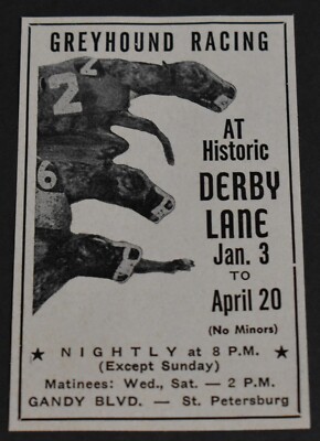 1964 Print Ad Florida Saint Petersburg Greyhound Racing Derby Lane ...
