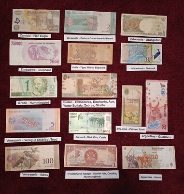 Lot of 15 Animal Kingdom Wildlife Banknotes Foreign Paper Money World ...