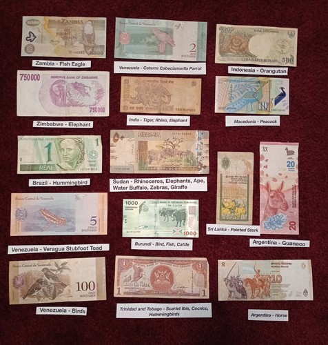 Lot of 15 Animal Kingdom Wildlife Banknotes Foreign Paper Money World ...