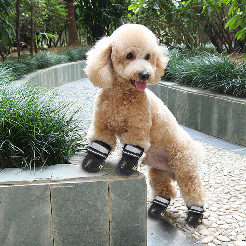 4pcs Waterproof Pet Dog Shoes Anti Slip Luminous Puppy Footwear (Black ...