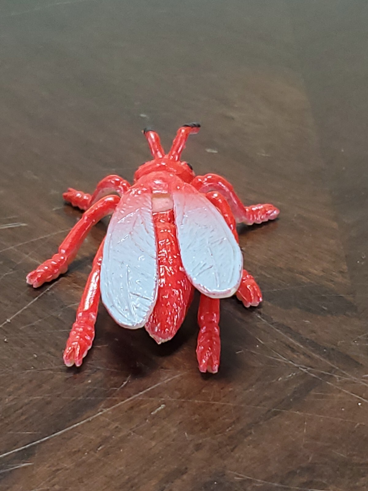 Insect Toy Bug Nature Education Animal MULTICOLOR Detailed Children | eBay