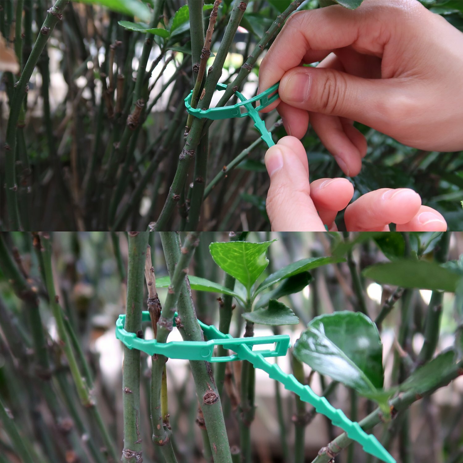 200pcs Adjustable Plastic Garden Plant Twist Ties Tie Multi-Use for ...
