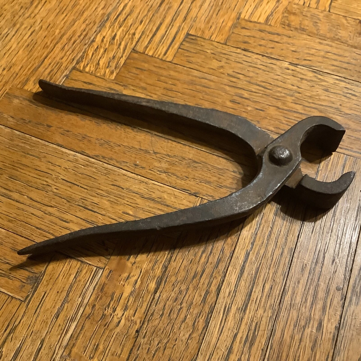 Nail Nippers Farrier