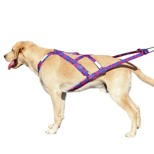 Dog Weight Pulling Harness,Speed Training,Work Out Dog Sled Harness for ...