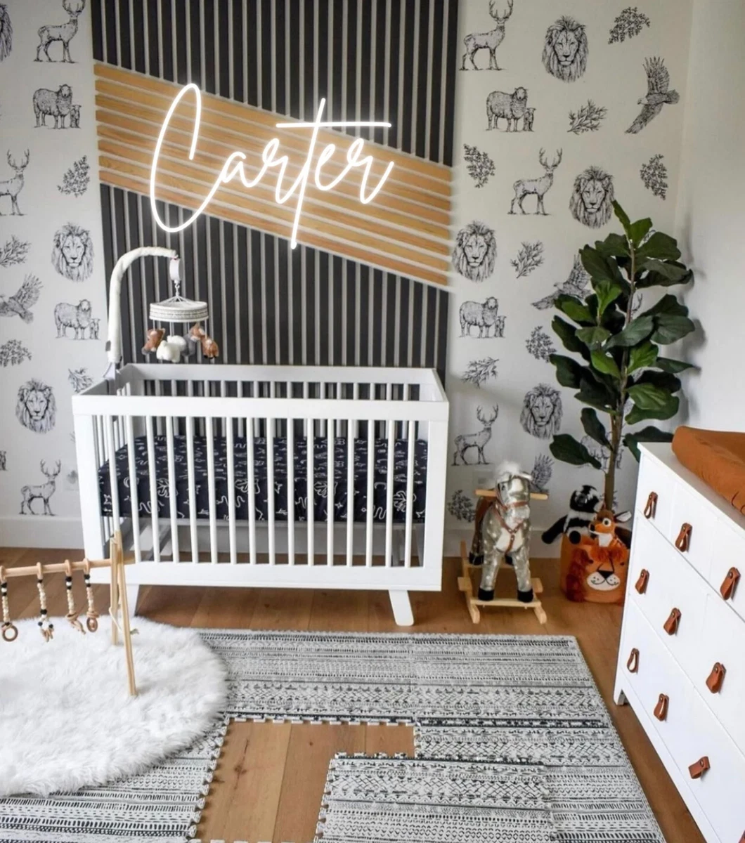 Carter Baby Name Signs