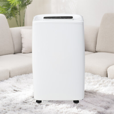12L/Day Electric Dehumidifier for Home Portable Quiet Electric Air De ...