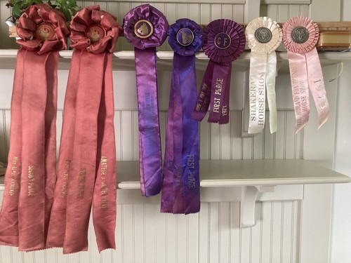 VTG Horse Equestrian Ribbons 1950s-1970s story with photos of rider | eBay